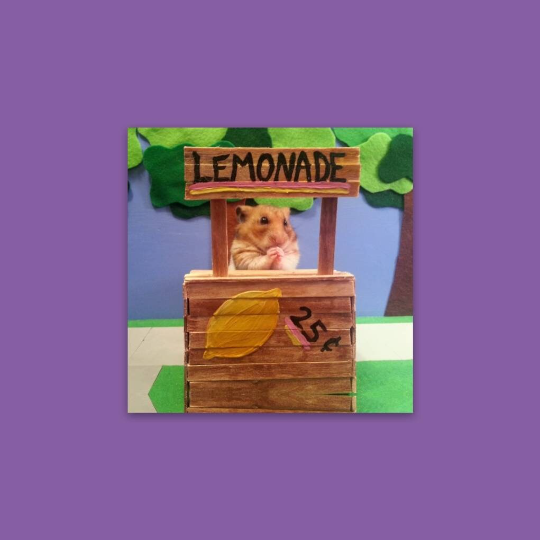 George's Lemonade Stand Hamster Sticker — The Pipsqueakery - A Rescue ...