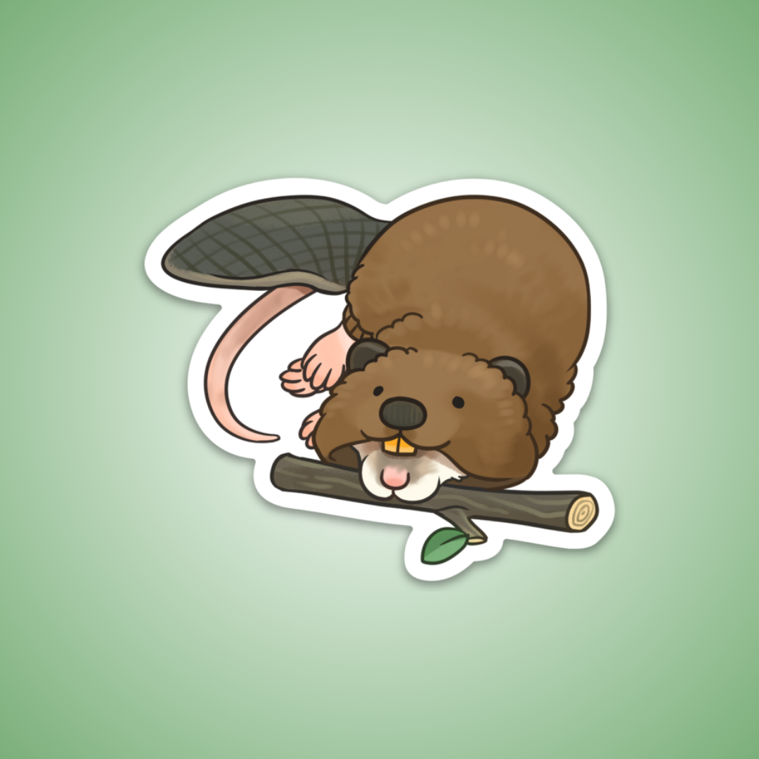 I Passed My Beaver Inspection Sticker — The Pipsqueakery - A Rescue ...