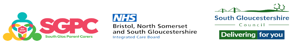 PINS — South Glos Parent Carers