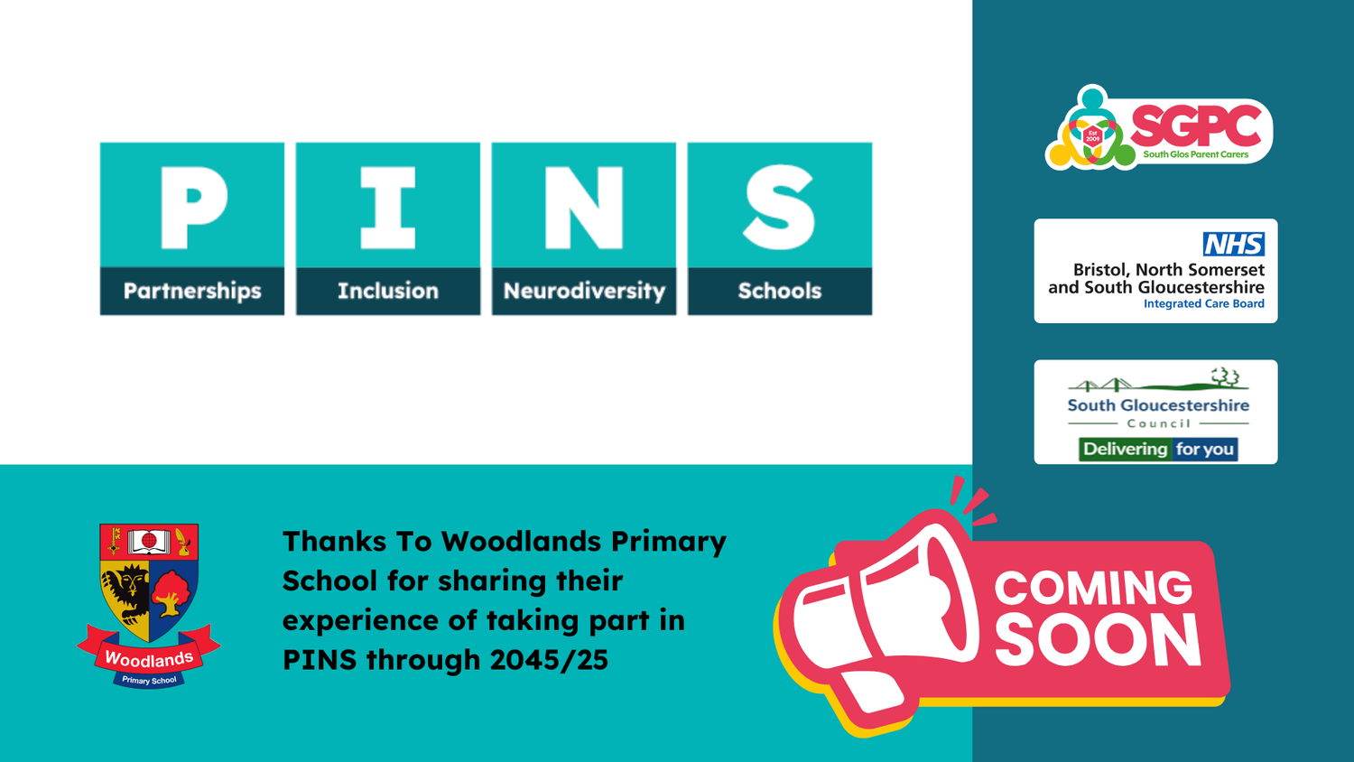 Partnership for Inclusion of Neurodiversity in Schools (PINS)