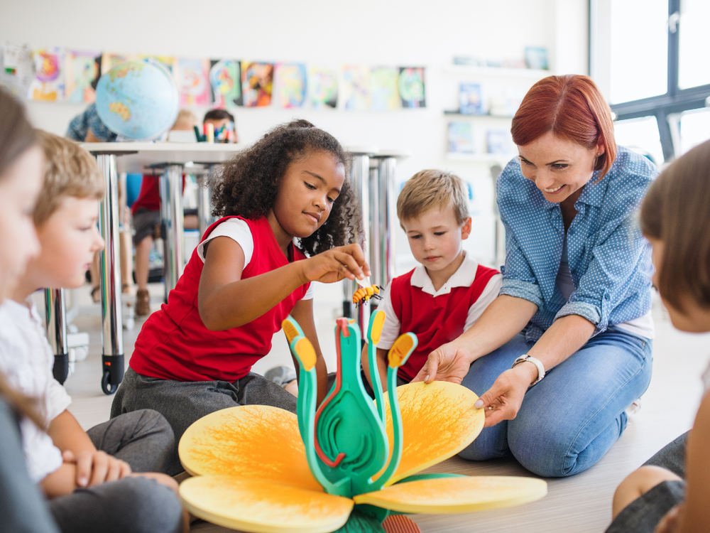 Partnership for Inclusion of Neurodiversity in Schools (PINS)