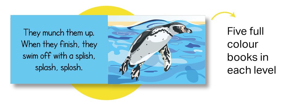 Guinea Pig Education