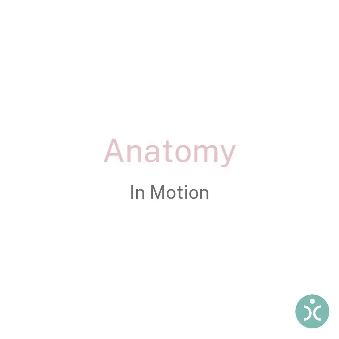 Anatomy In Motion — diane chalmers