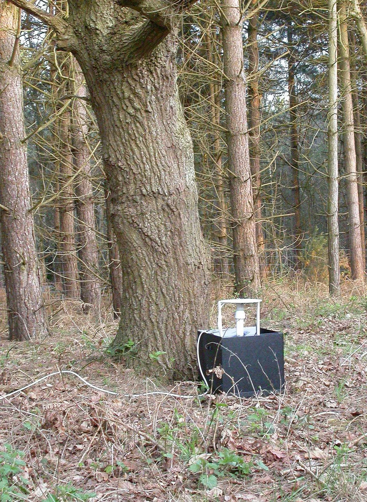 UV07 Compact 20w Heath Moth Trap — ALS - Anglian Lepidopterist Supplies