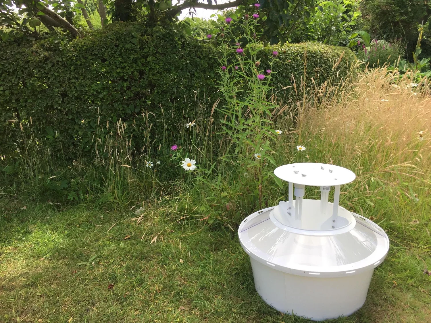 moth traps — ALS - Anglian Lepidopterist Supplies