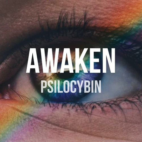 Ceremonia: Legal Psilocybin and Ayahuasca Retreats in Colorado