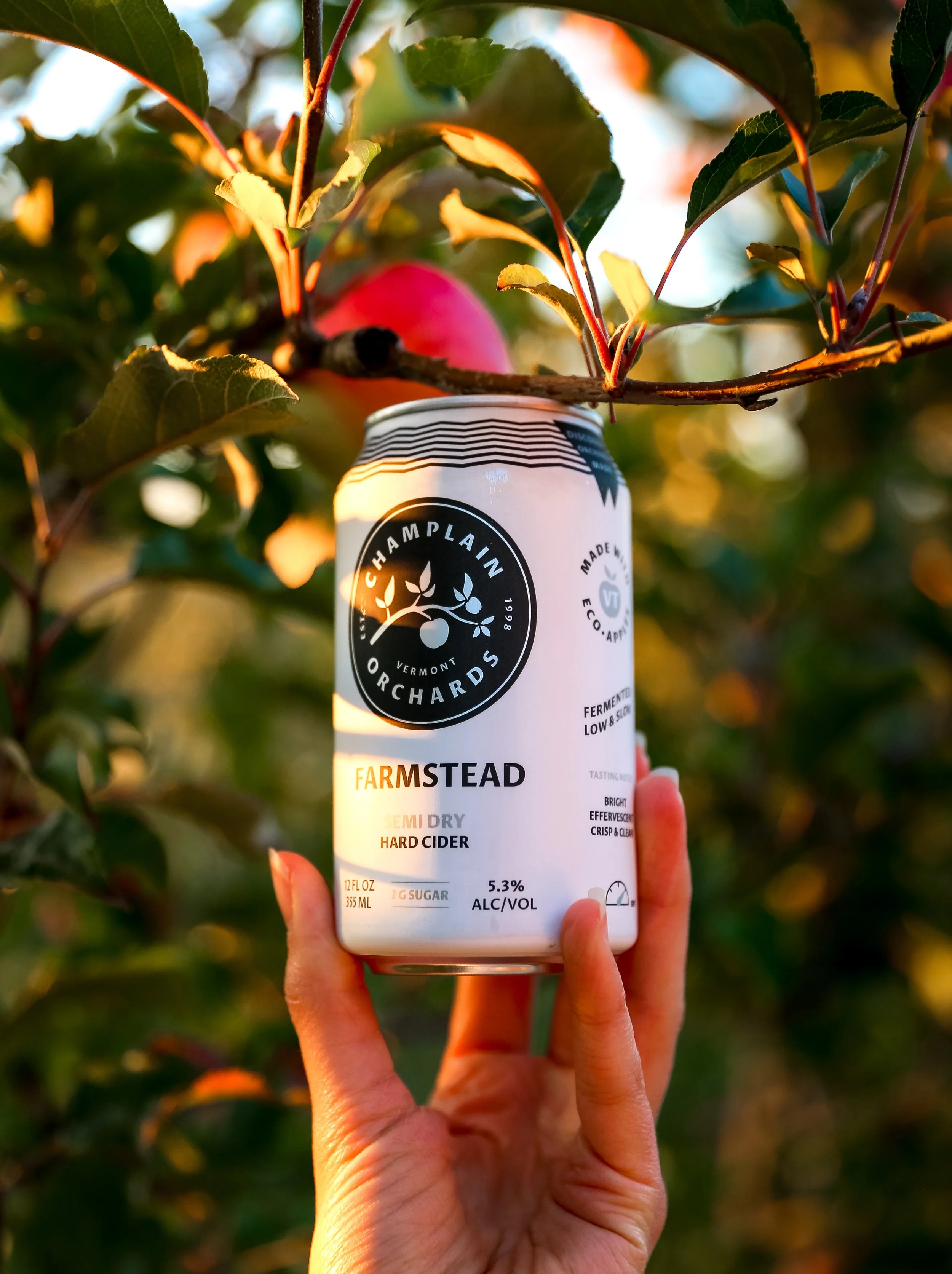 Champlain Orchards — Olive and Milo | Social Media Management