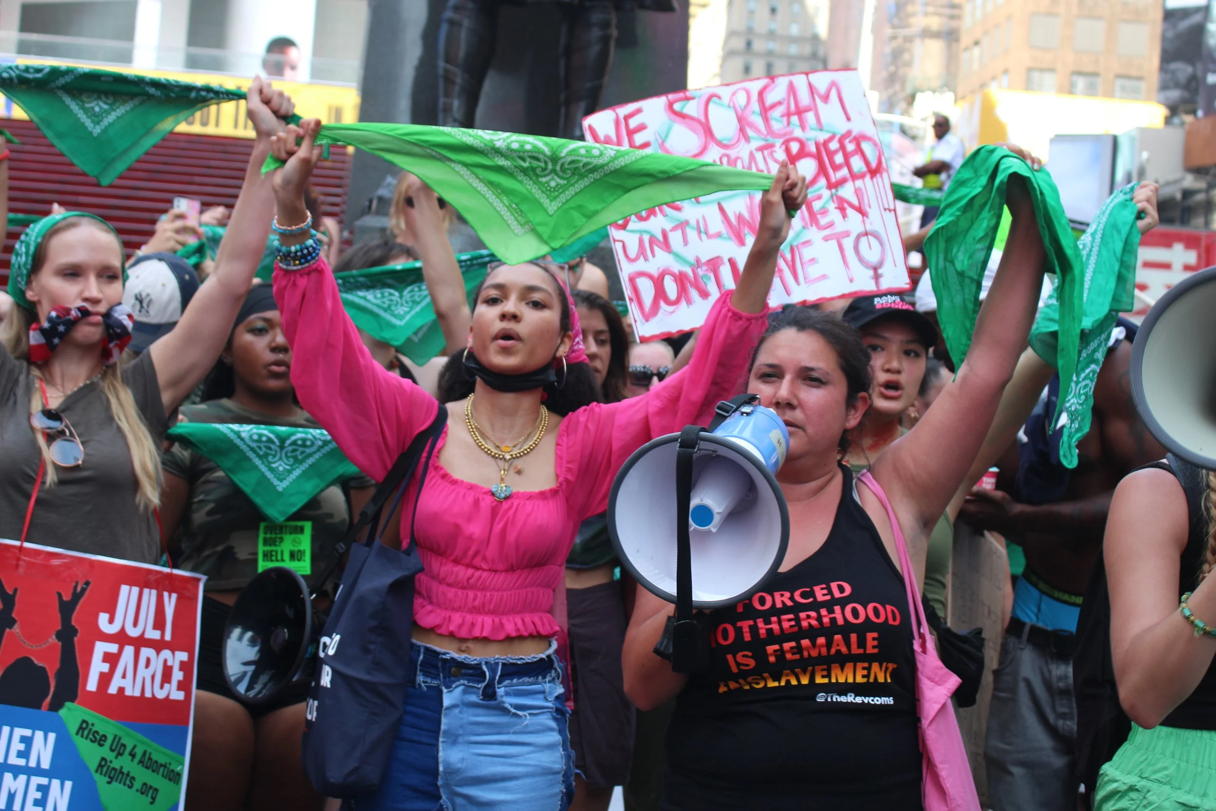 Activism — Anya Dillard