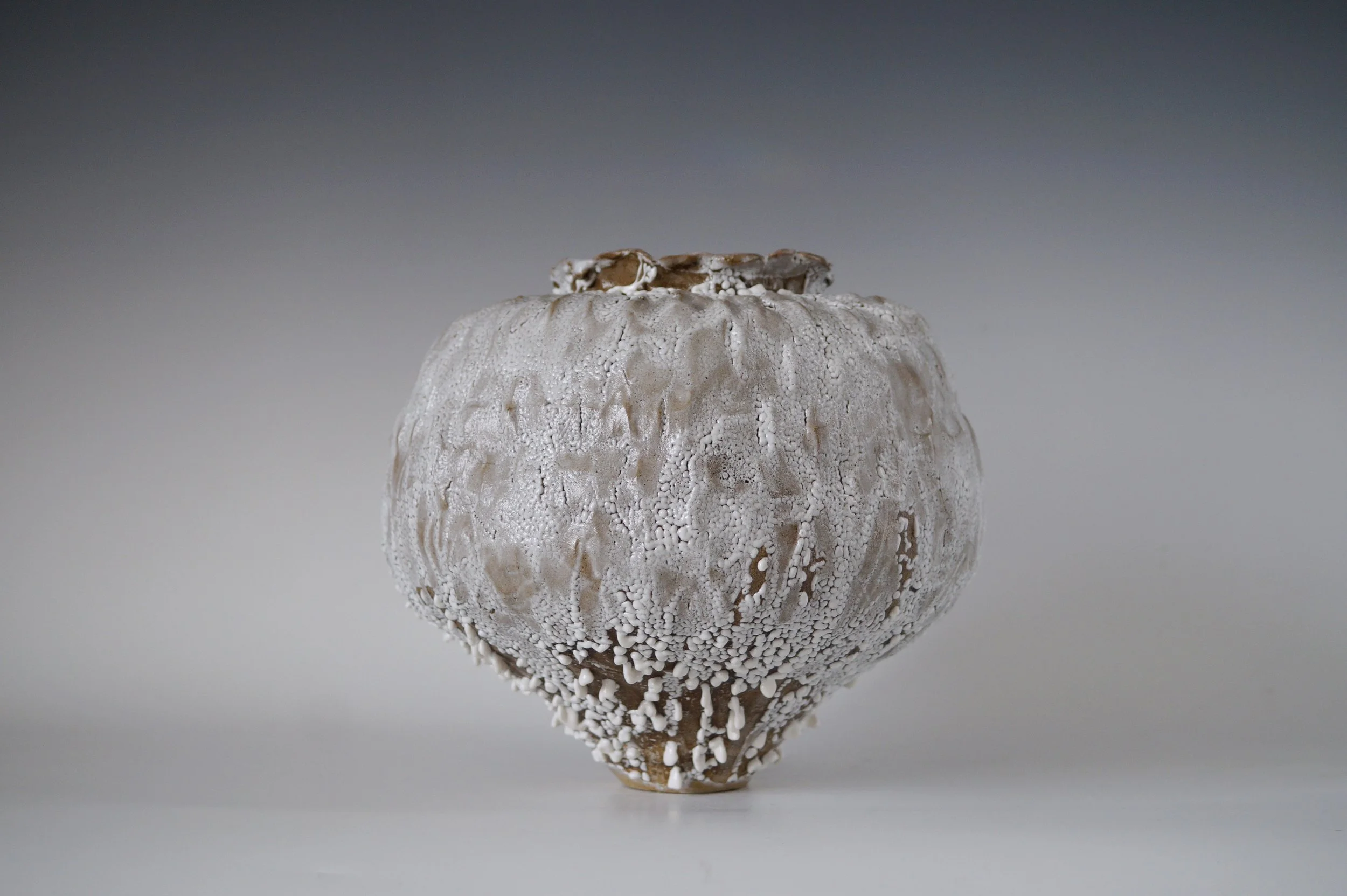 Shop — seva ceramics