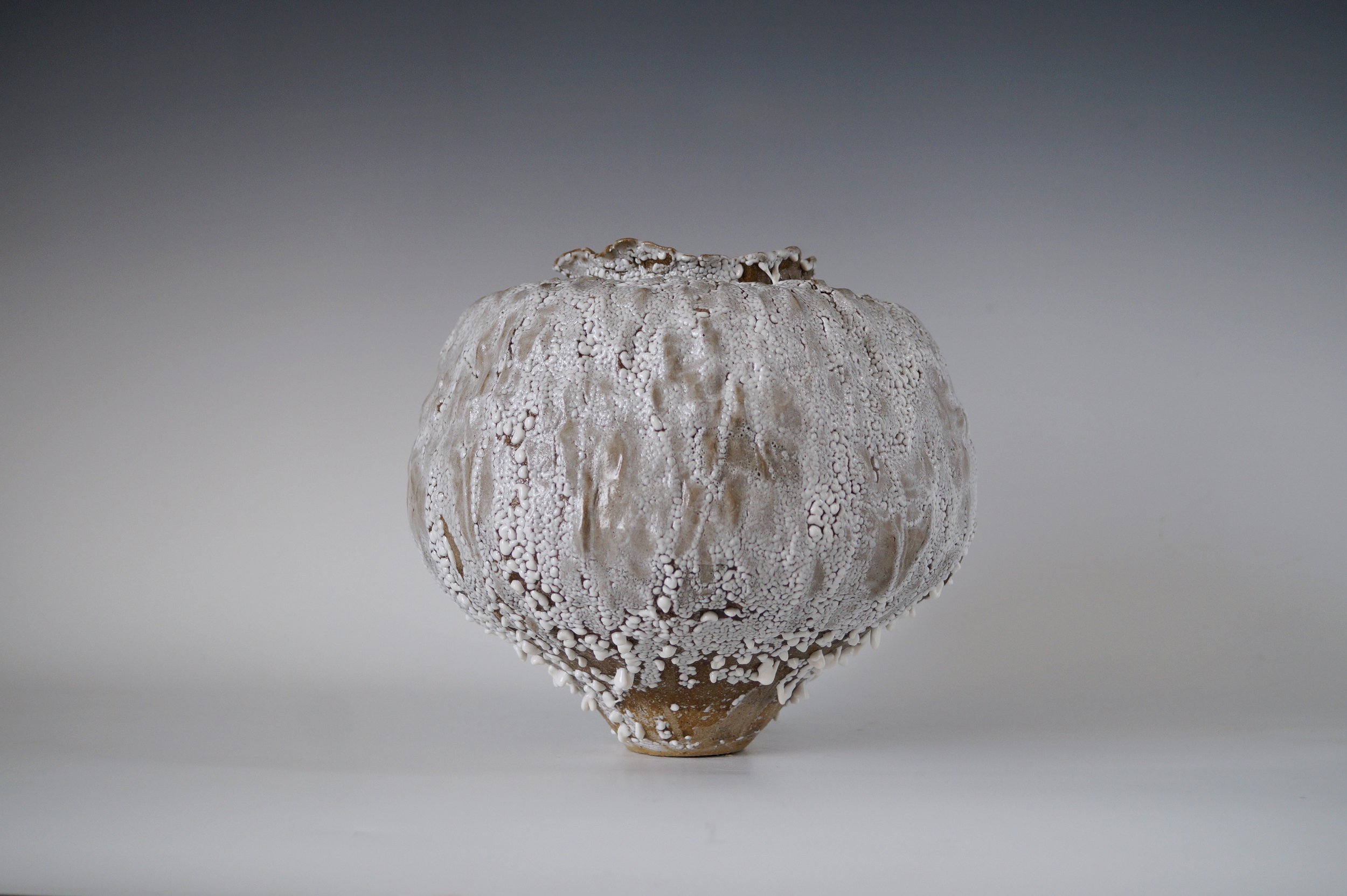 Shop — seva ceramics