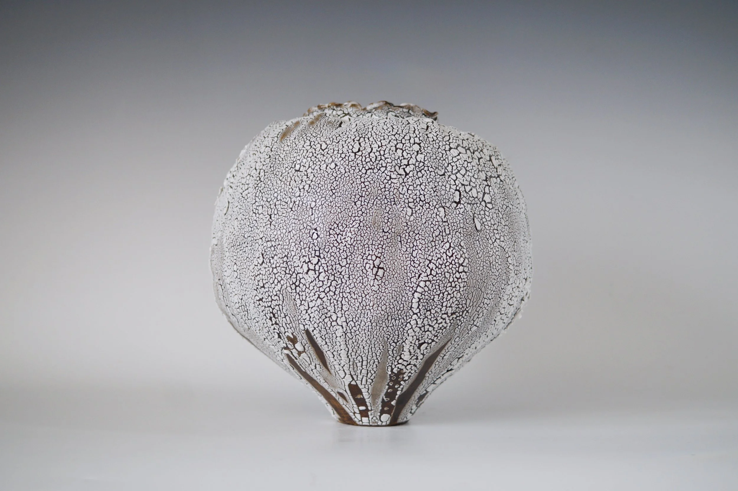 Shop — seva ceramics