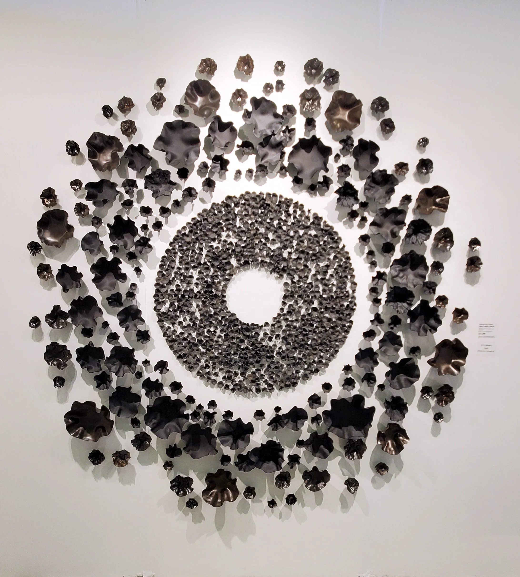 Shop — seva ceramics