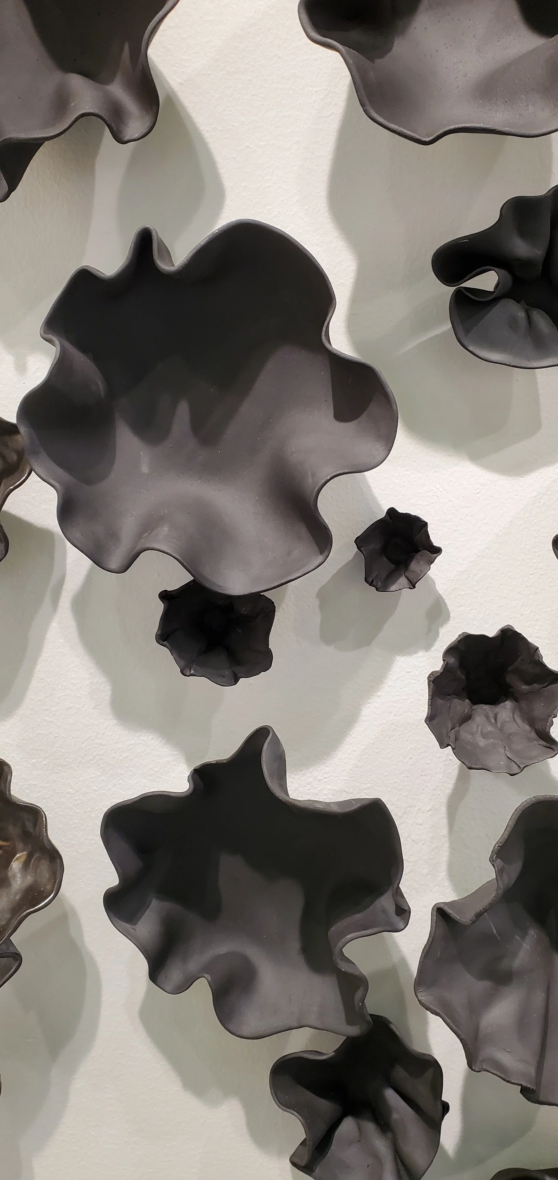 Shop — seva ceramics