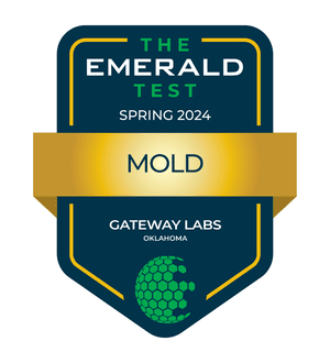 About Us — Gateway Labs