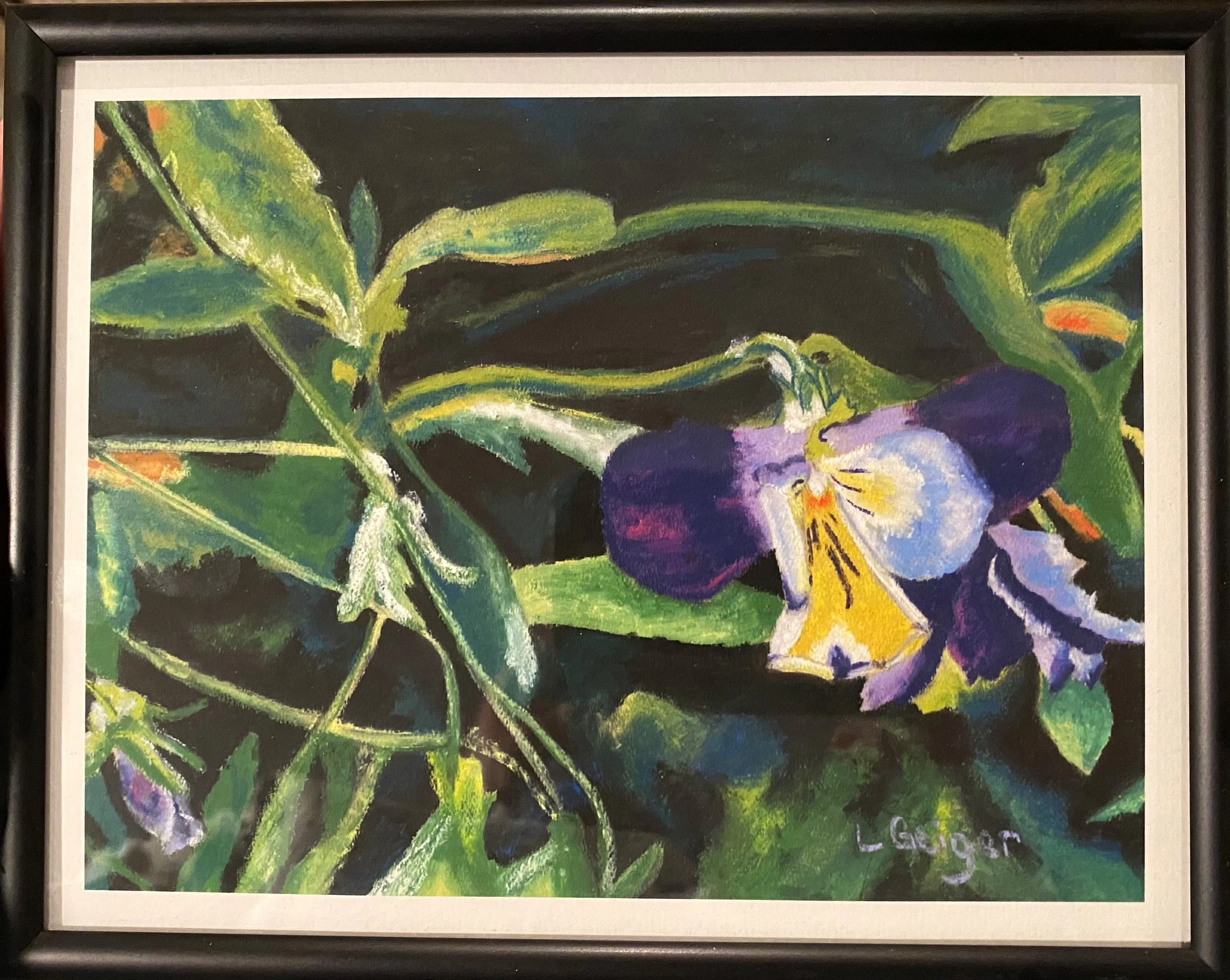 Store — Lisa Geiger