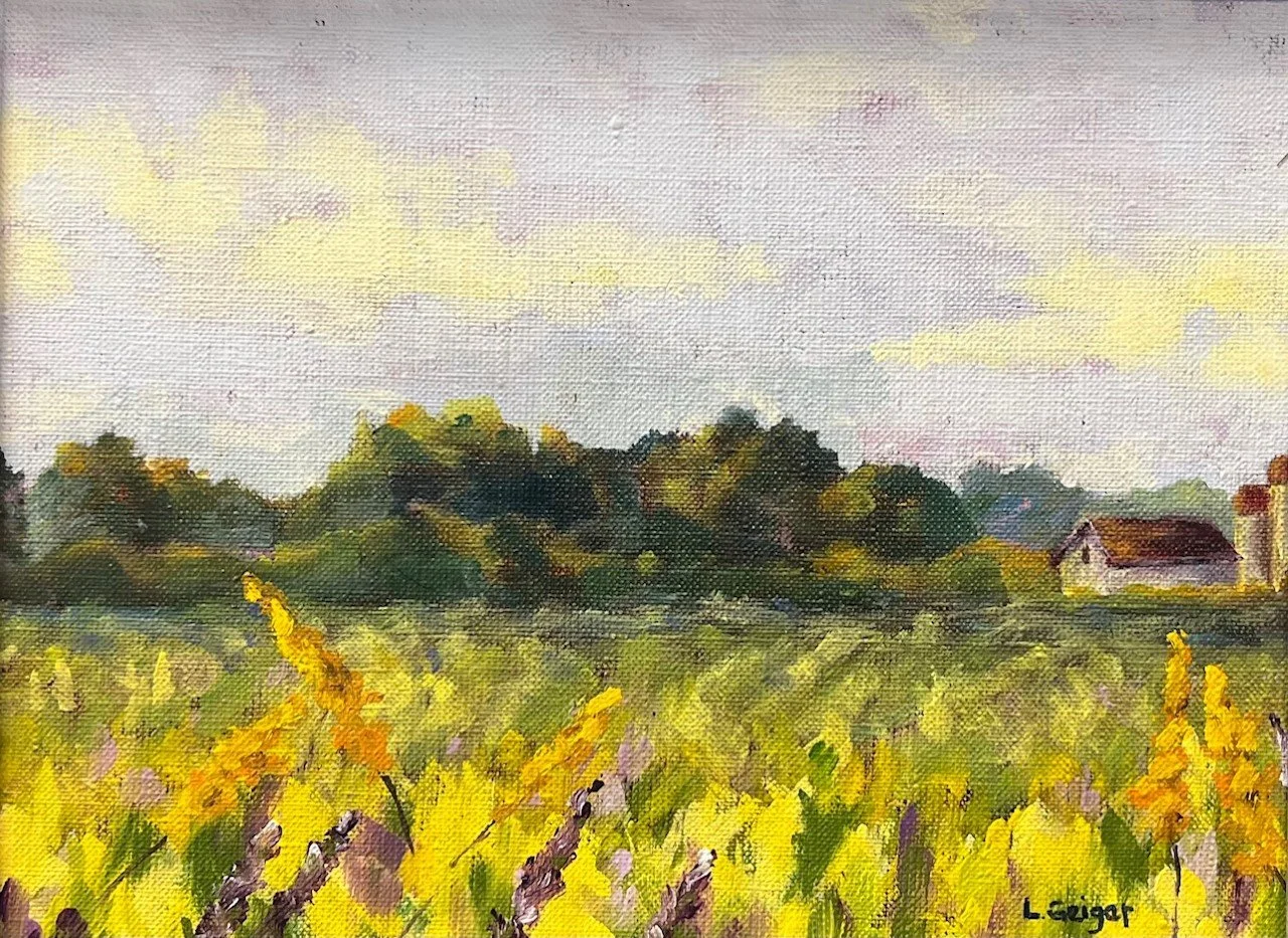 Store — Lisa Geiger