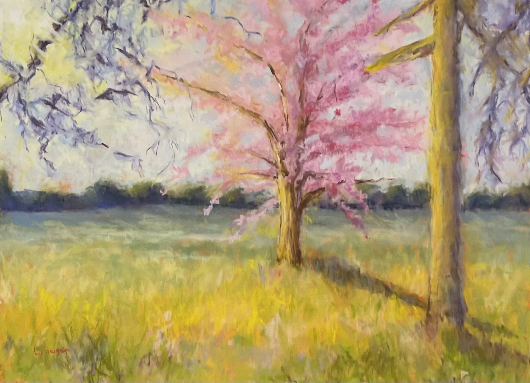 Store — Lisa Geiger