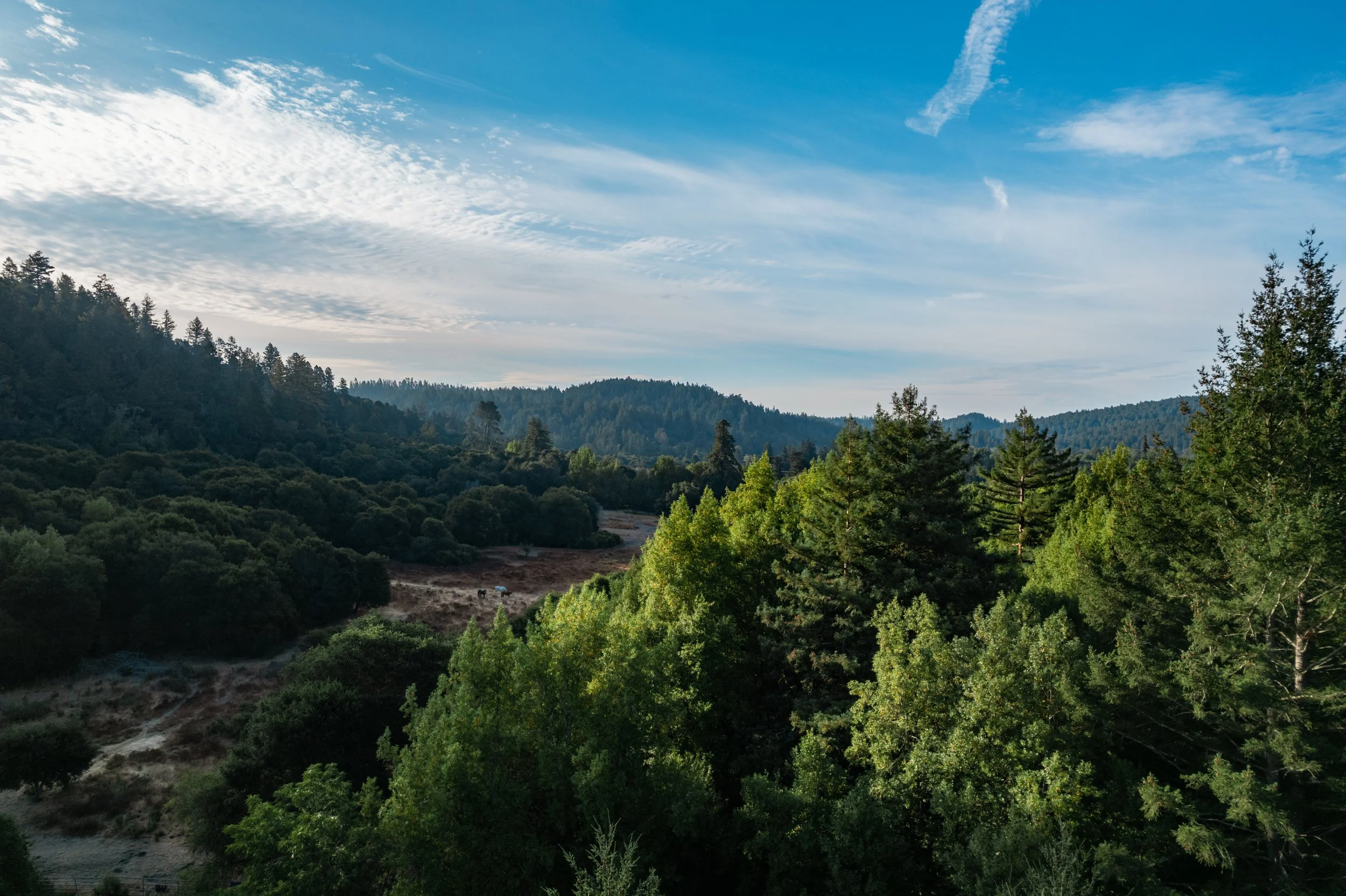 About — Daybreak Camp