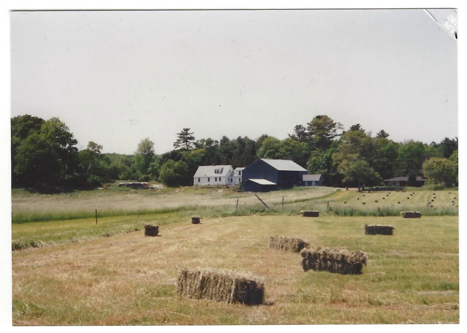 About 4 — Freeport Conservation Trust