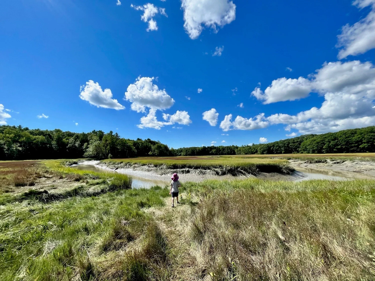 Freeport Conservation Trust
