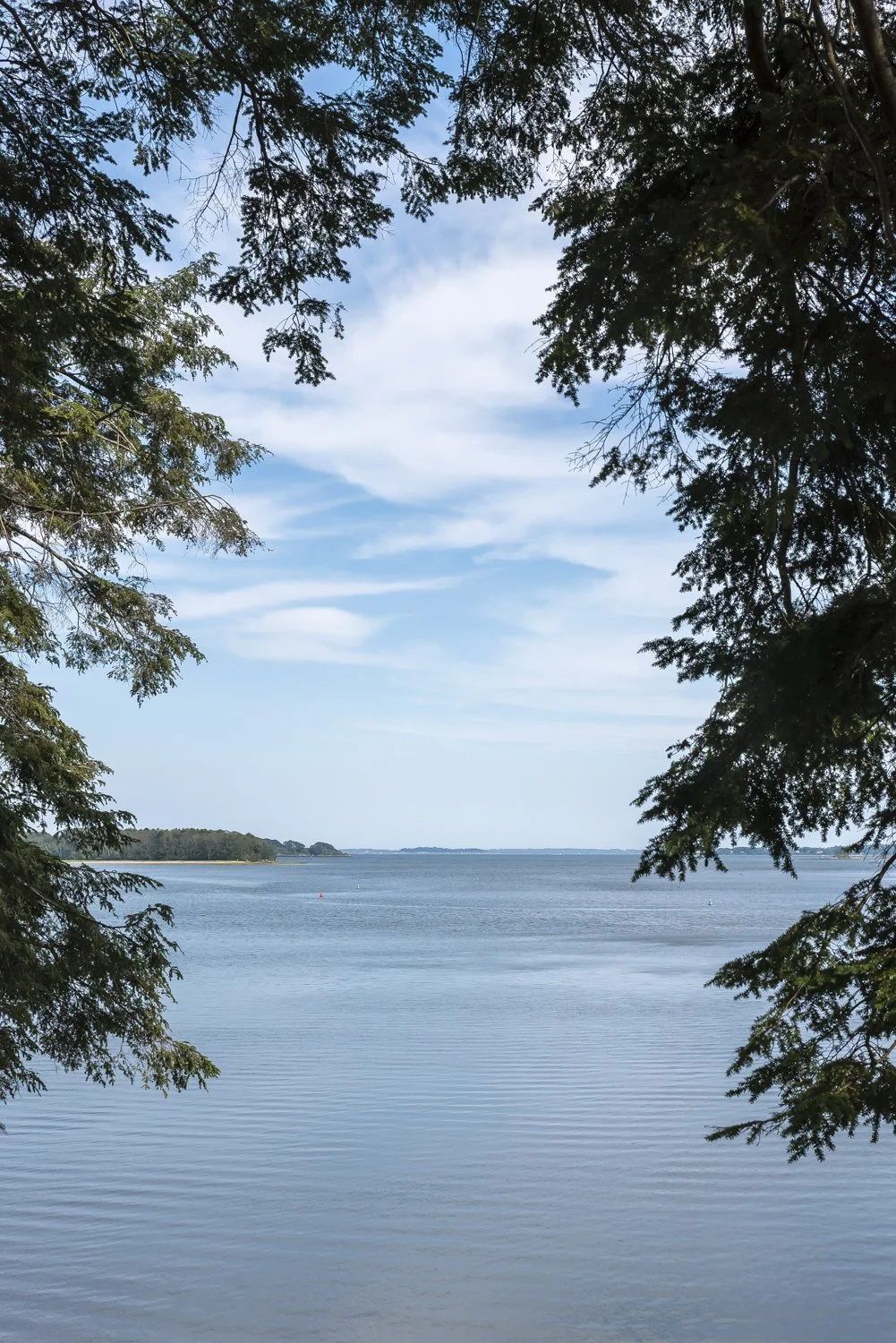 Freeport Trail Challenge — Freeport Conservation Trust