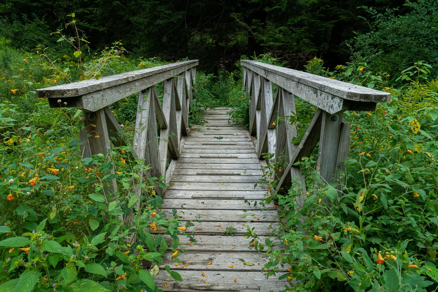 All Trails — Freeport Conservation Trust