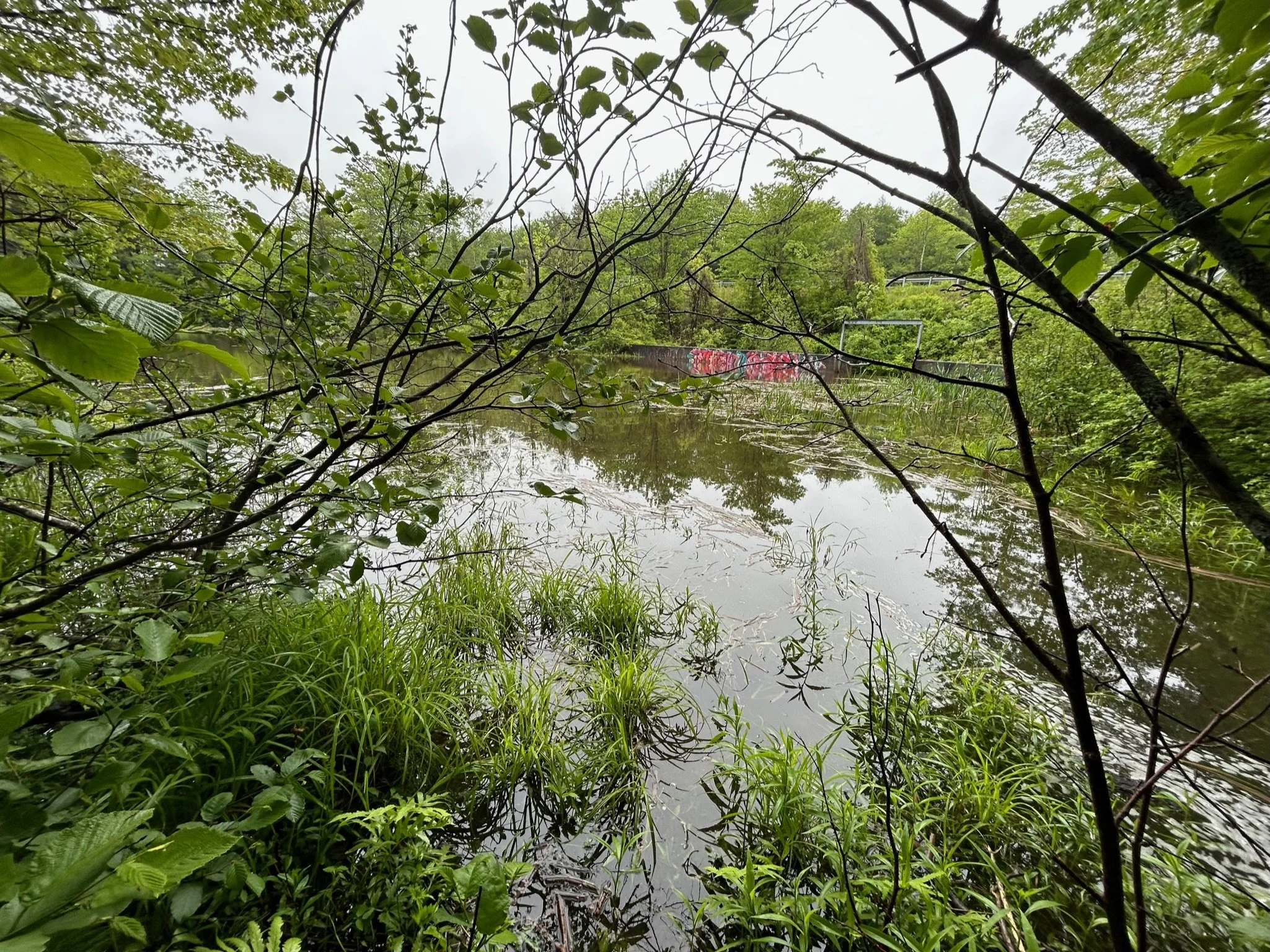 Freeport Trail Challenge — Freeport Conservation Trust
