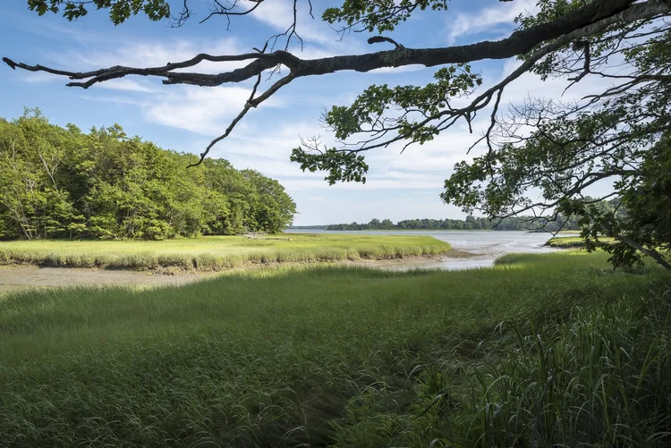 Powell Point Preserve — Freeport Conservation Trust