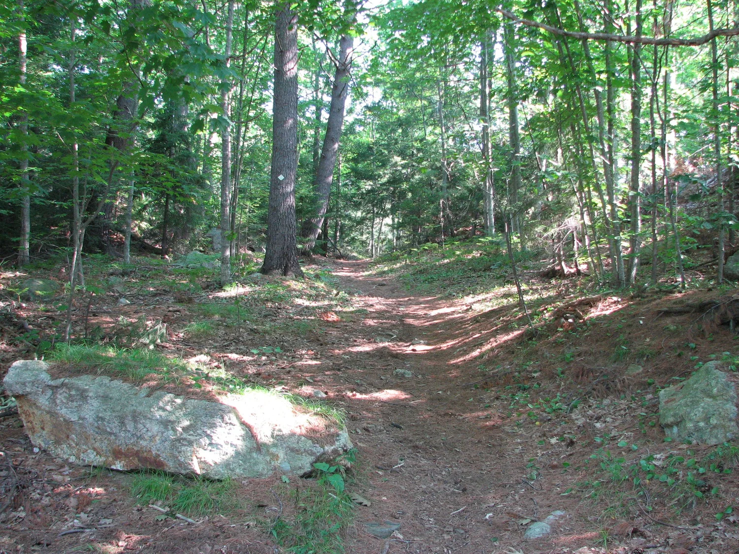 Freeport Trail Challenge — Freeport Conservation Trust