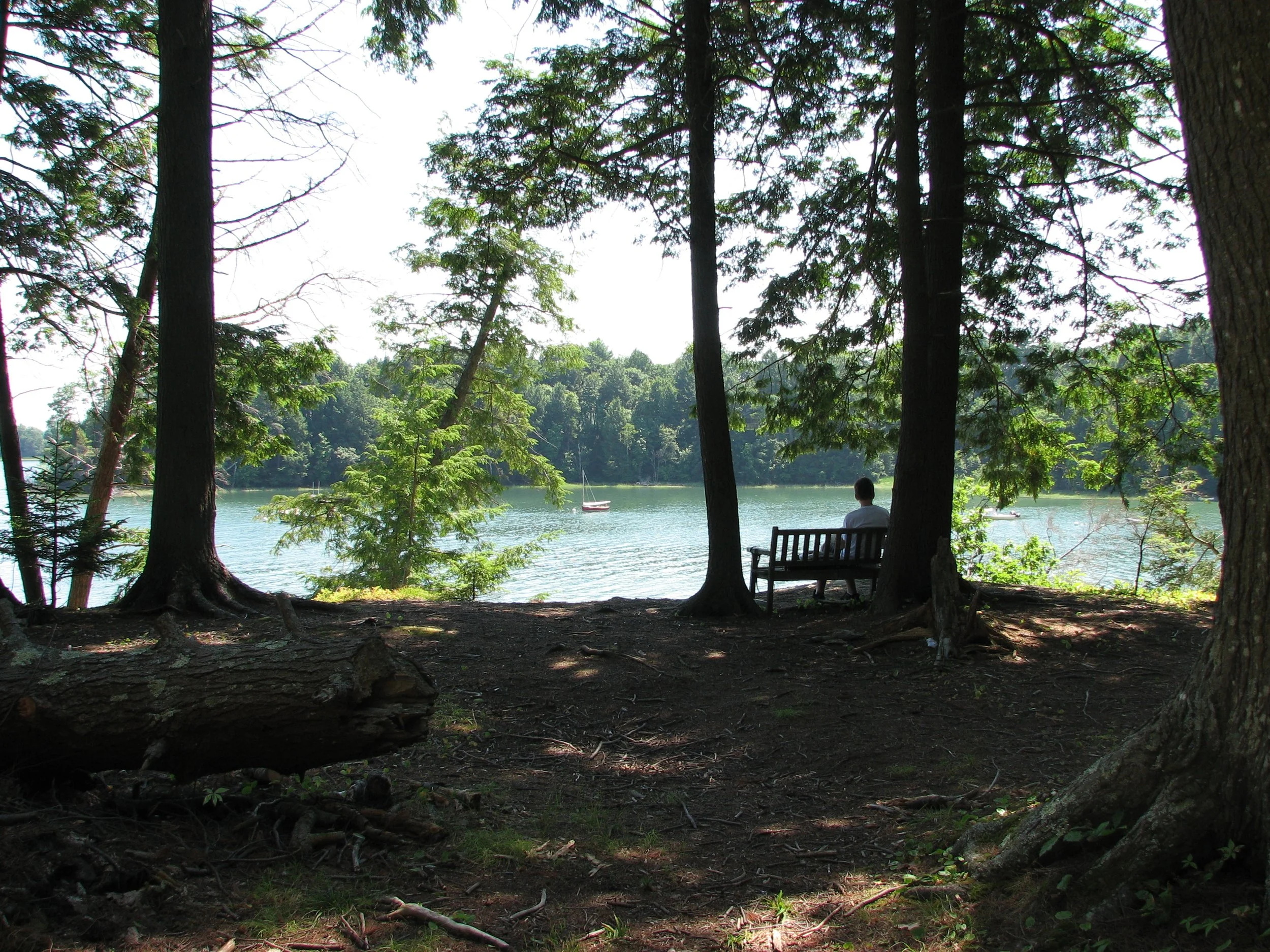 Freeport Trail Challenge — Freeport Conservation Trust
