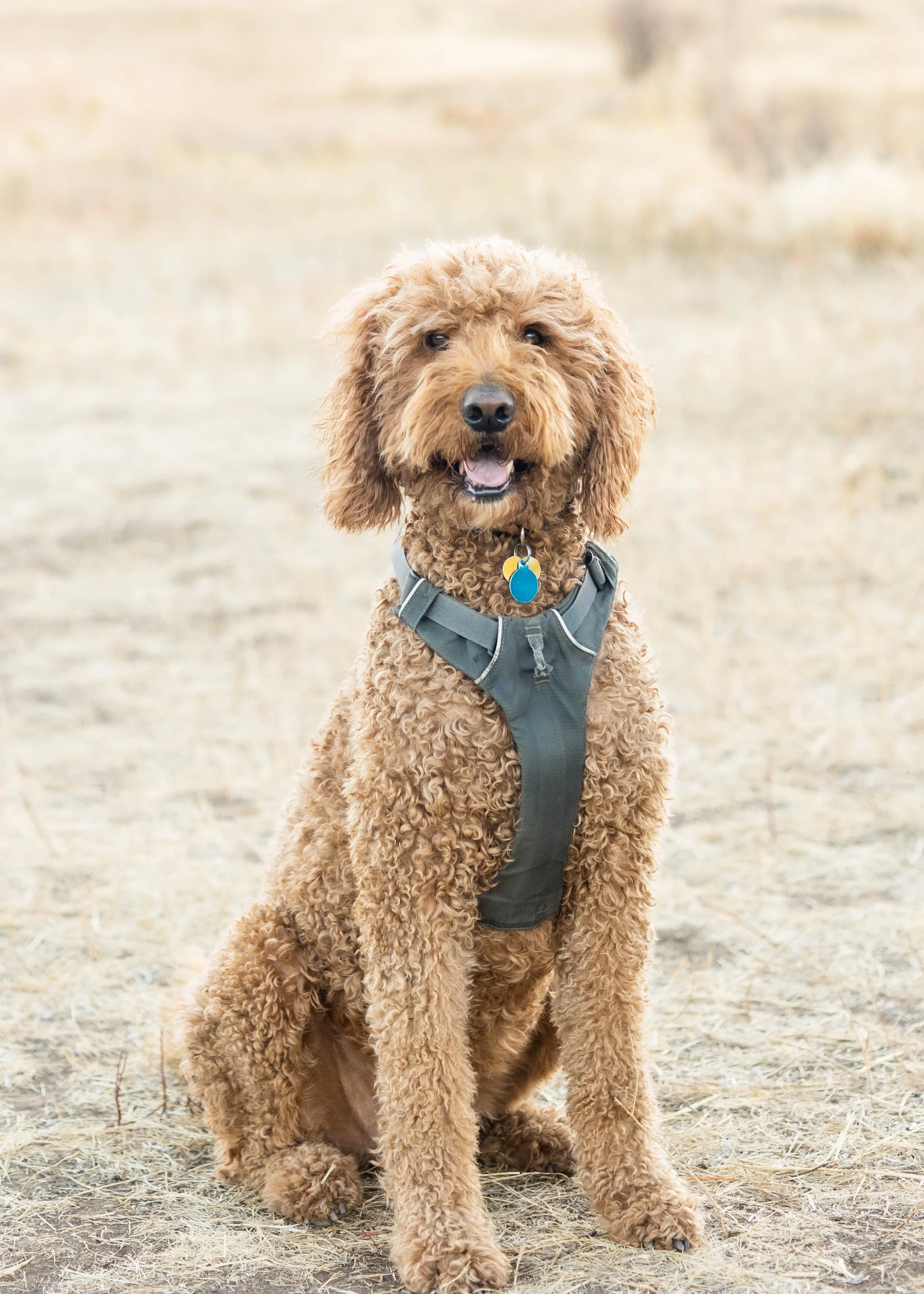 Meet Us — St. Thomas Aquinas Catholic Center