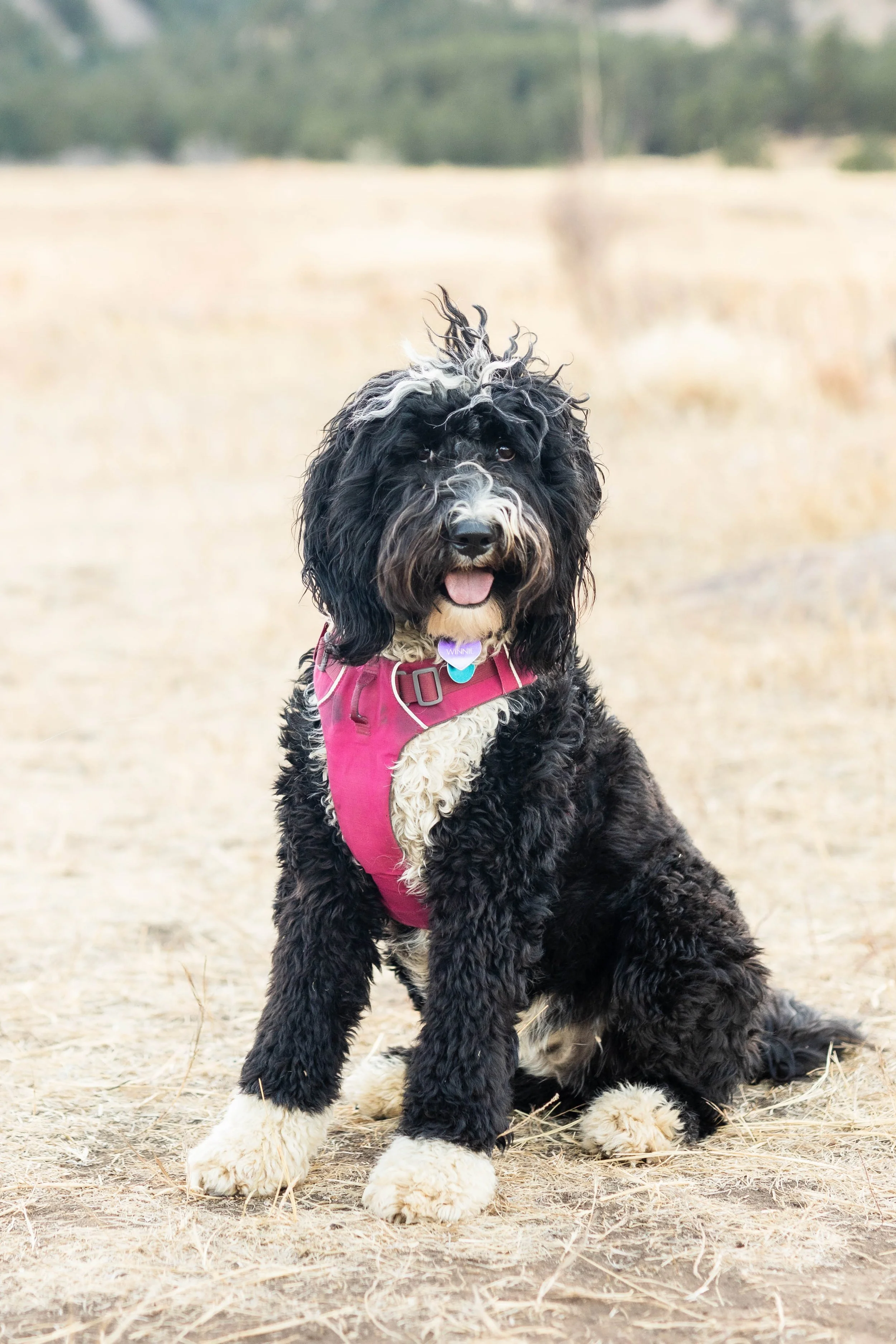 Meet Us — St. Thomas Aquinas Catholic Center