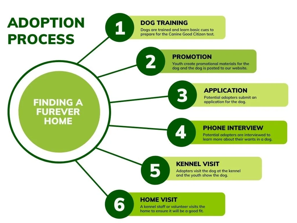 Dogs — Project POOCH