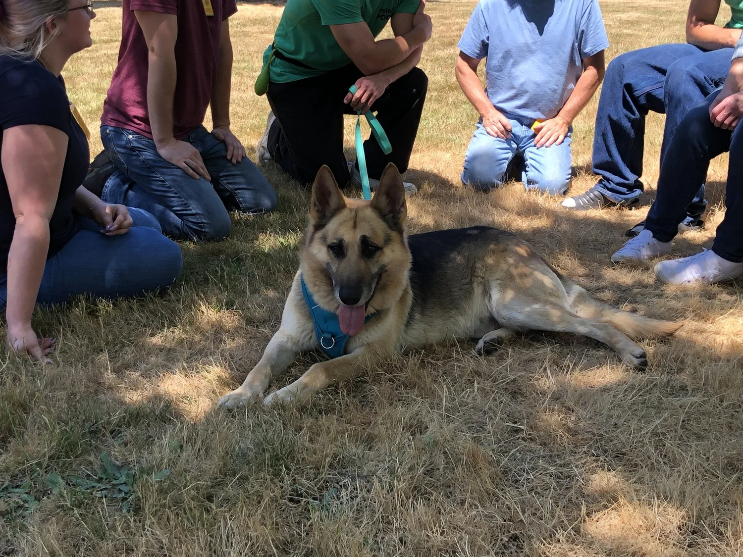 About — Project POOCH