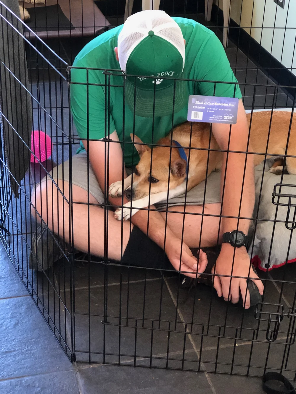 About — Project POOCH