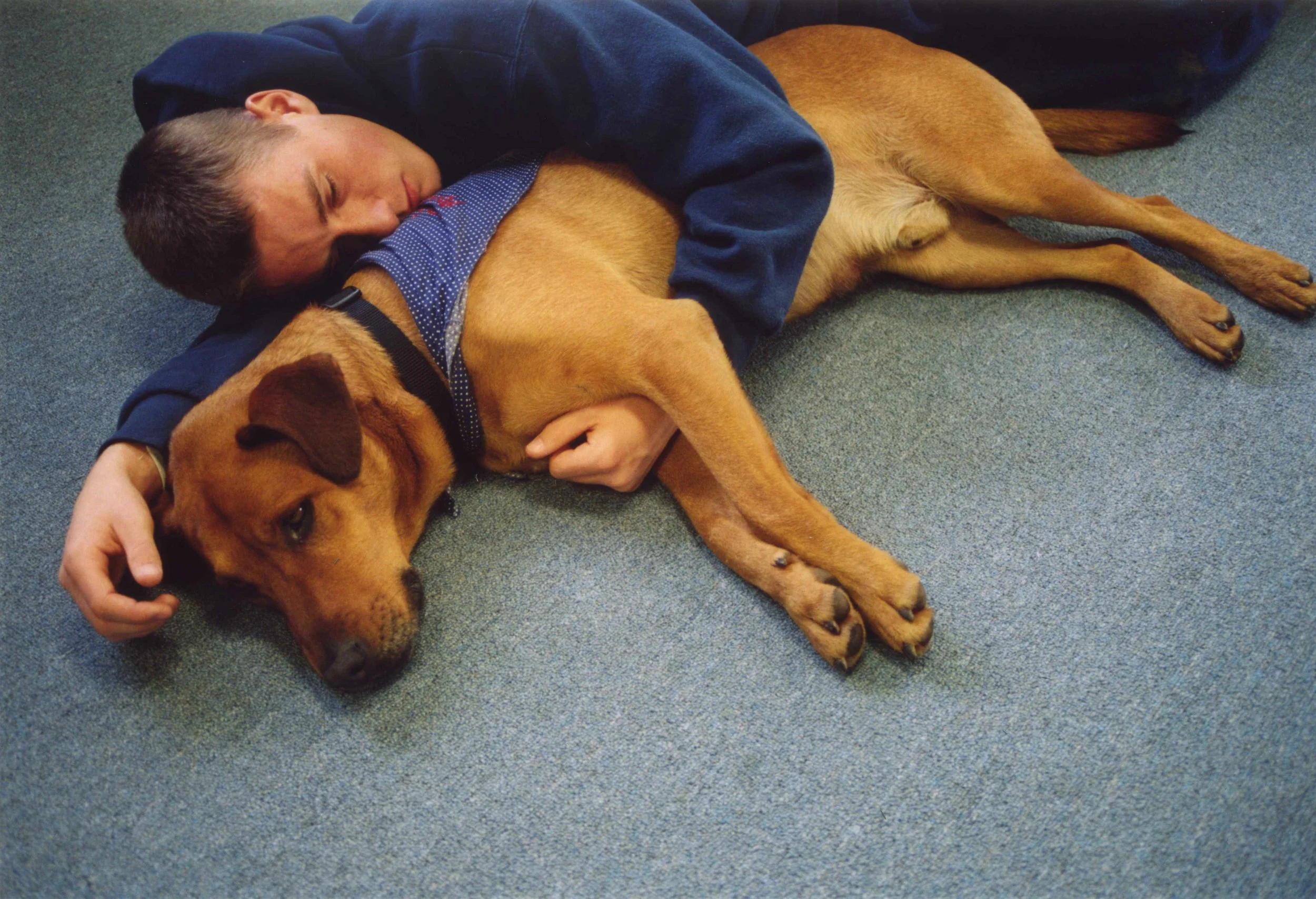 Youth — Project POOCH