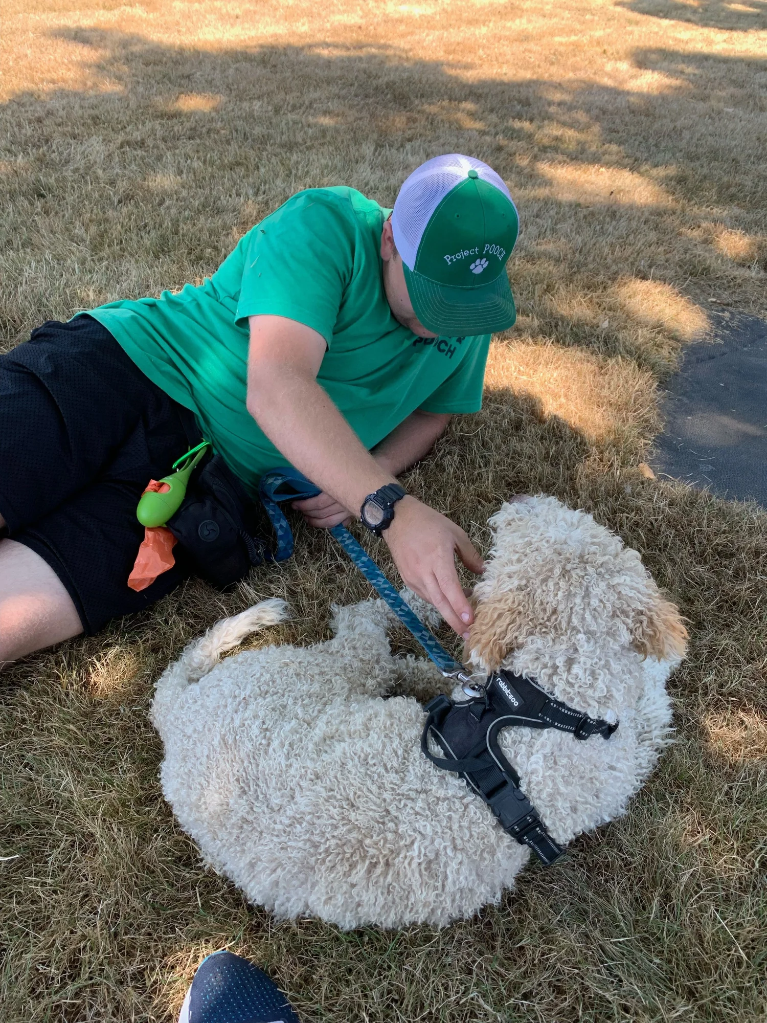 About — Project POOCH