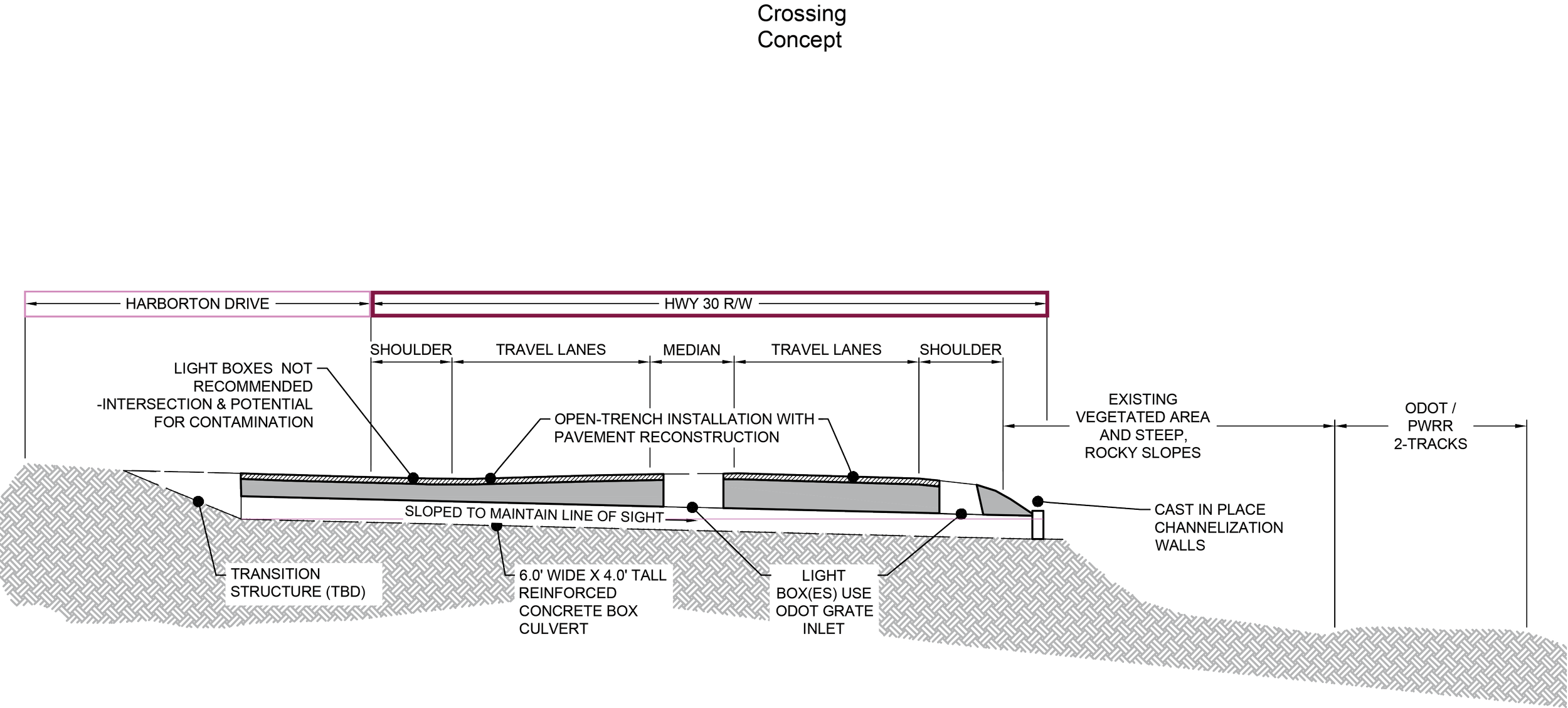 Frogs | Protect Amphibian Paths — Oregon Wildlife Foundation