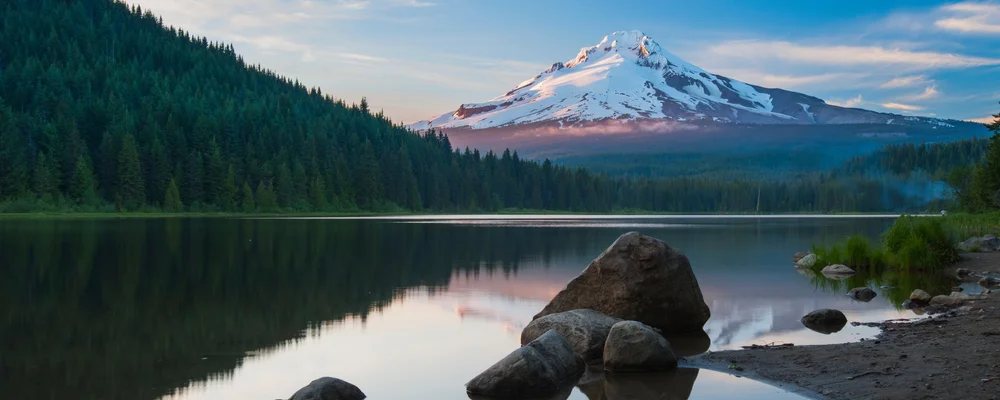 Board of Directors | Join Our Mission — Oregon Wildlife Foundation