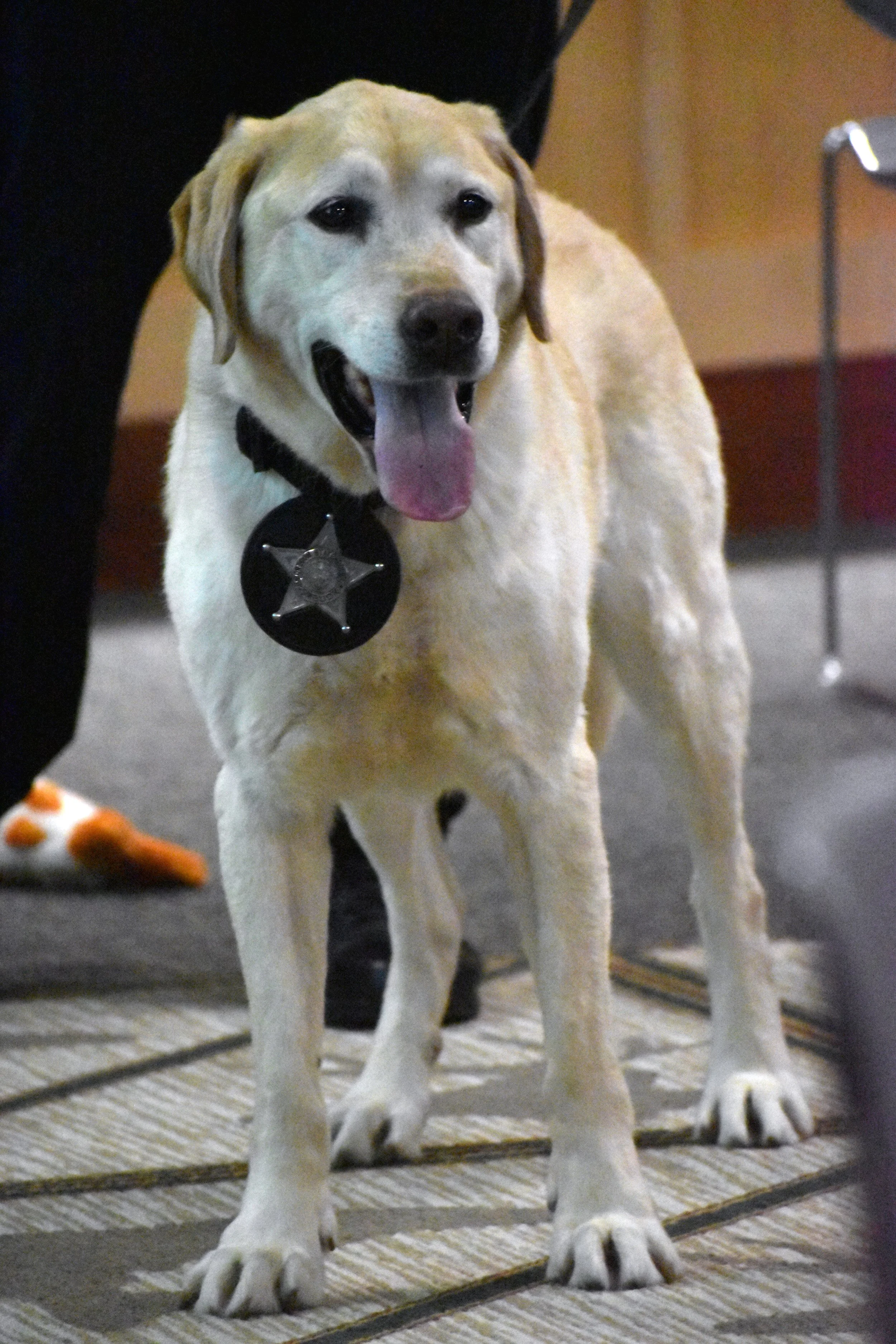 OSP Fish & Wildlife Conservation K-9, Buck, Retires — Oregon Wildlife ...