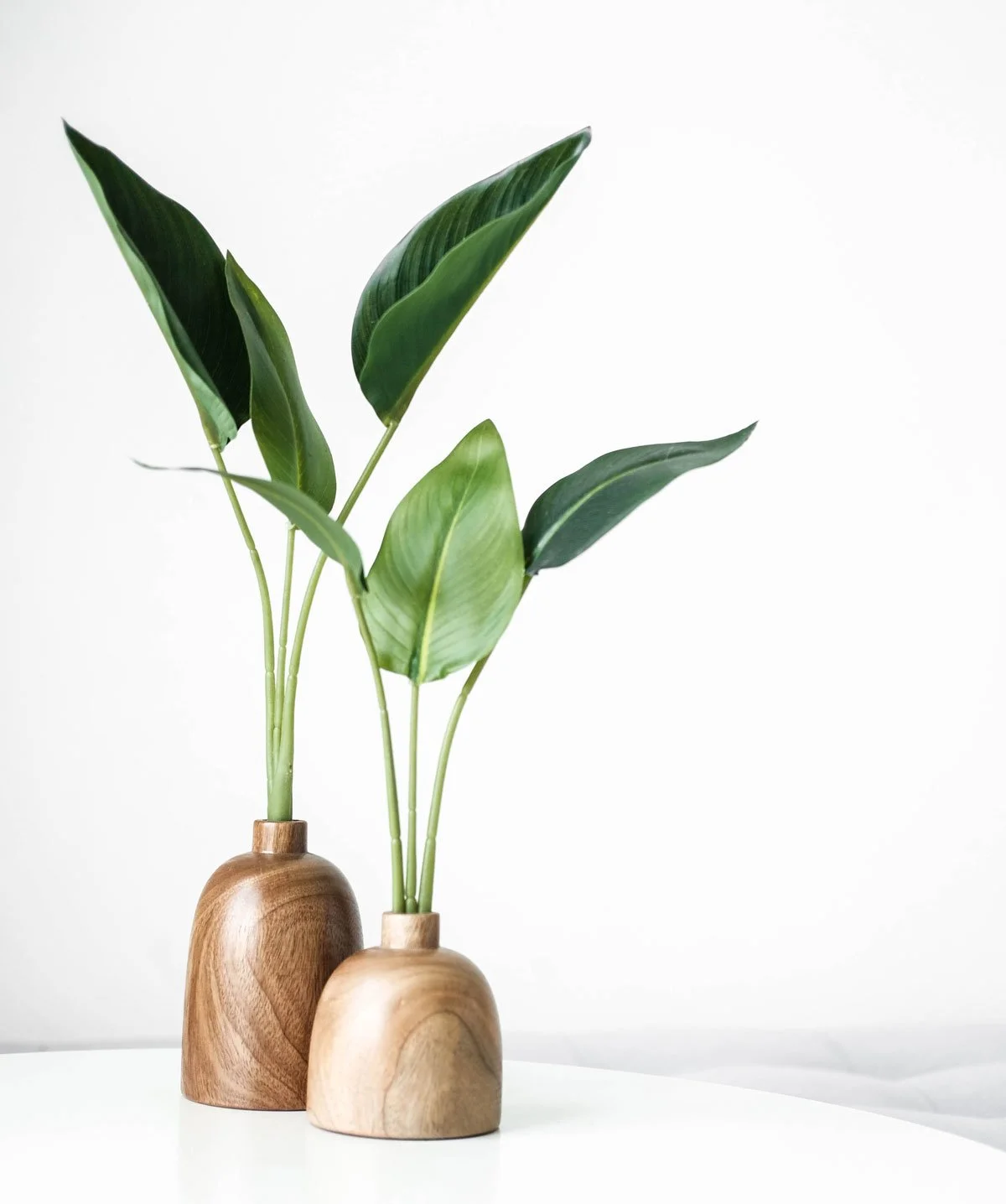 The Naturopathic + Functional Medicine Experience at Aspire Integrative ...