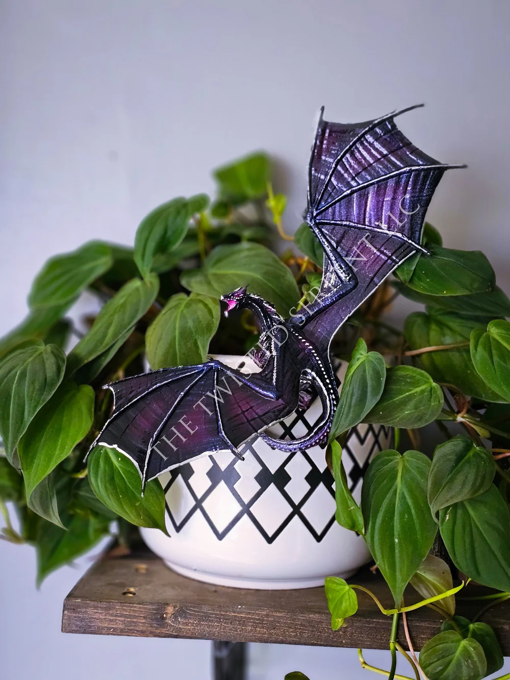 Dragons — Shop All | Discover Unique Reptile Art – Shop Now — The ...