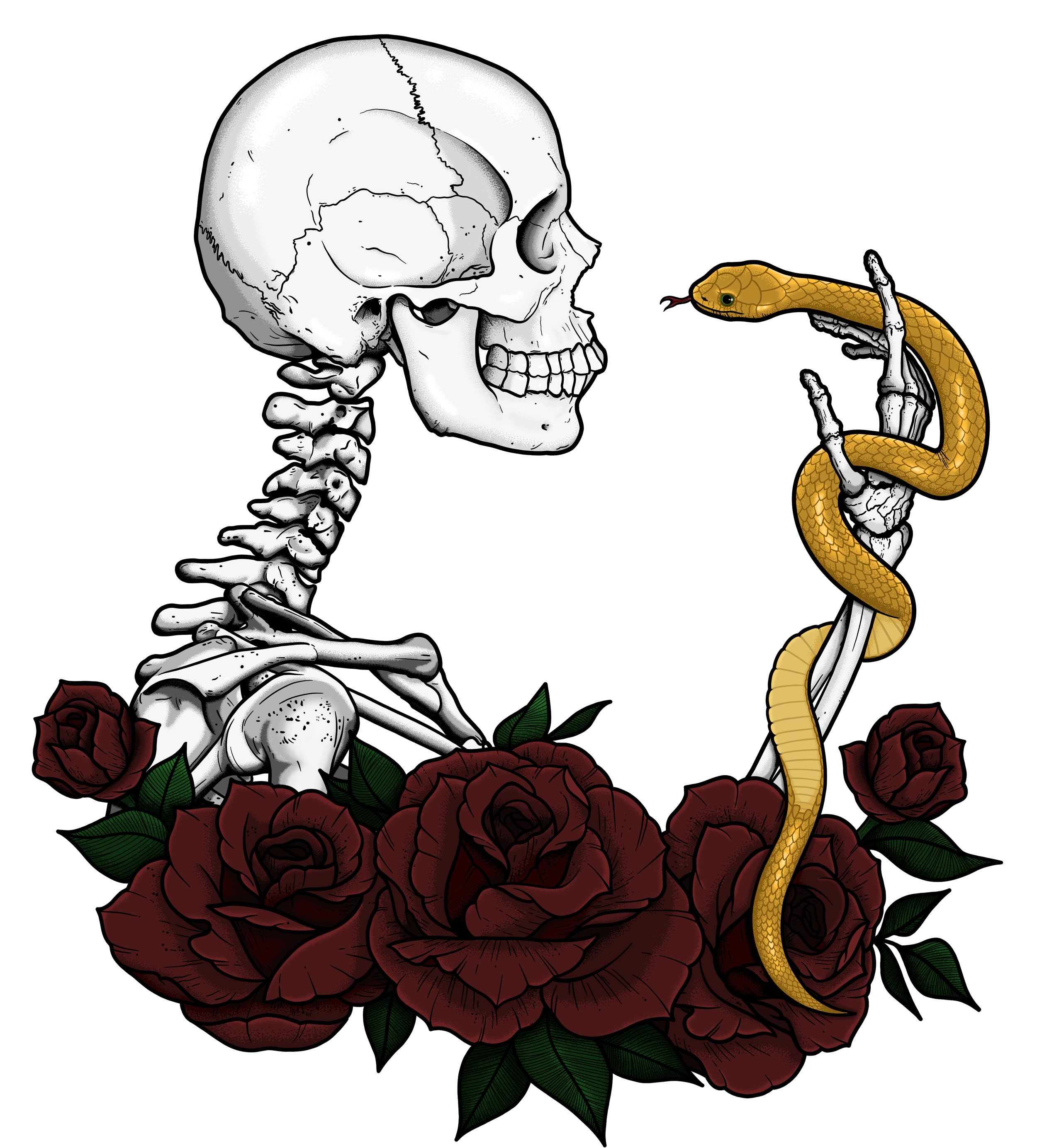 Skeleton Tumblr Transparent