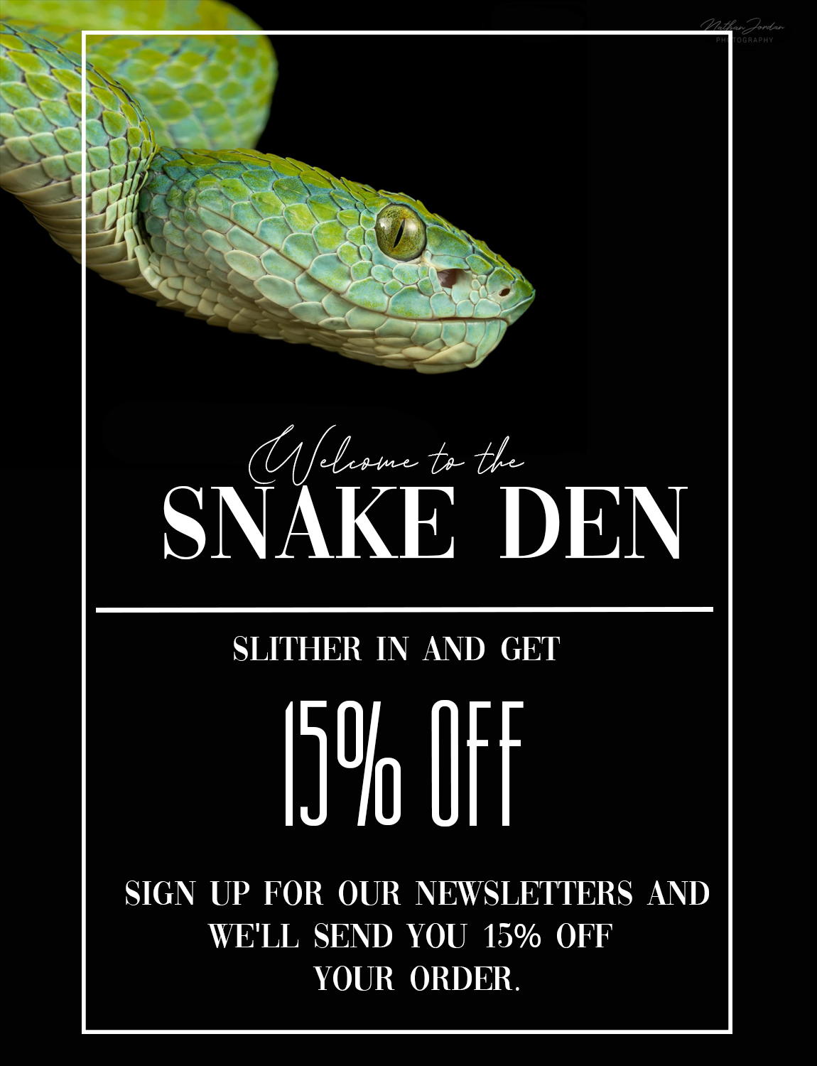 The Twisted Serpent | Hand-Painted Snake Art & Collectibles