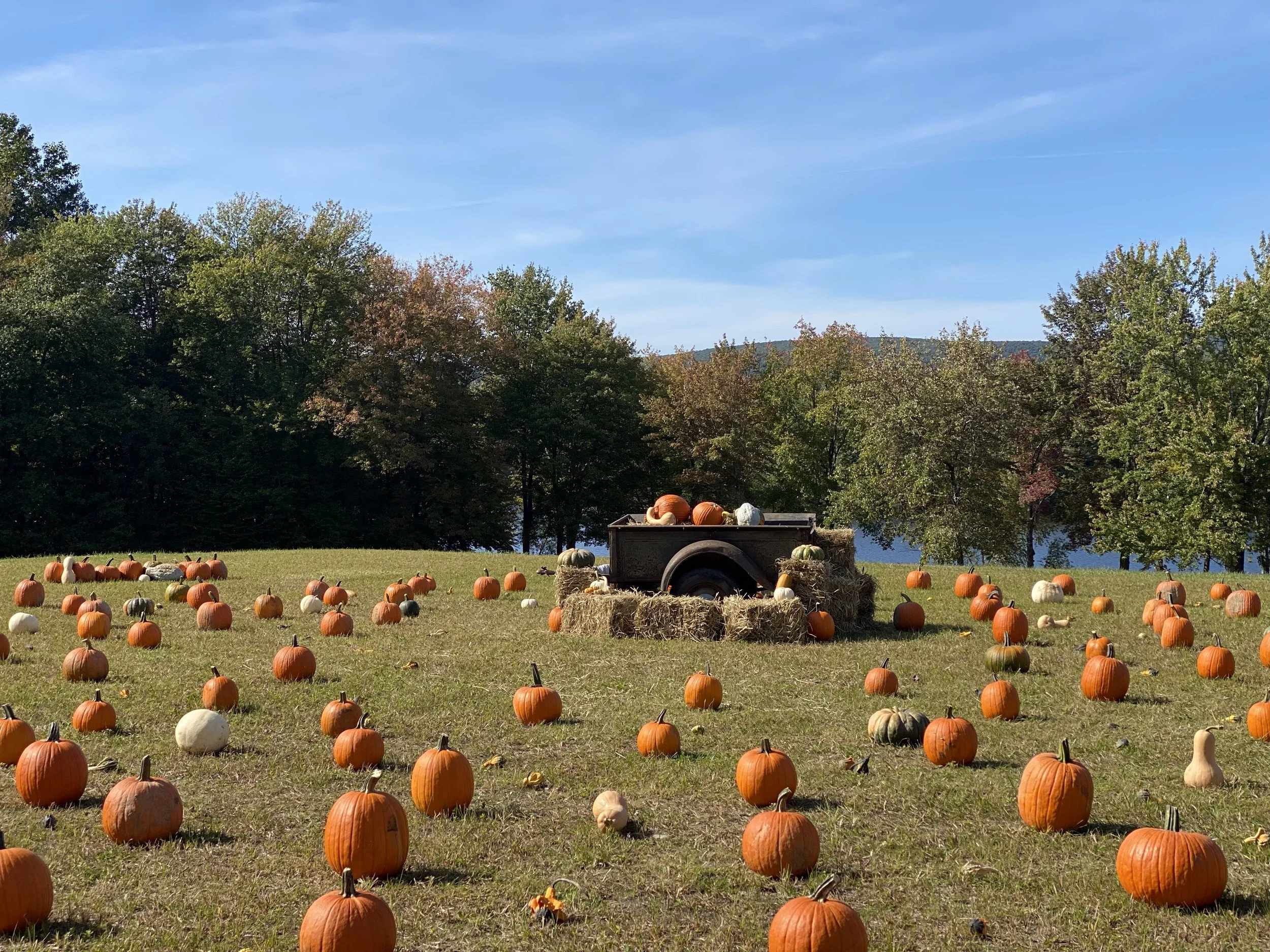 Mid-Week Savings | Mountain Springs Lake Resort