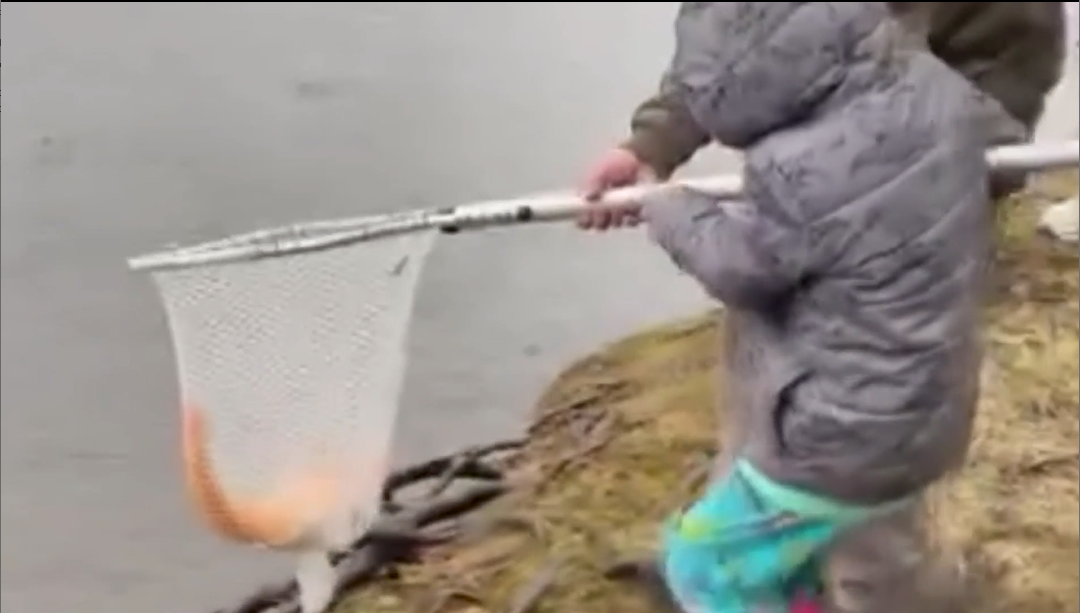 Fish To Win Challenge | Mountain Springs Lake Resort