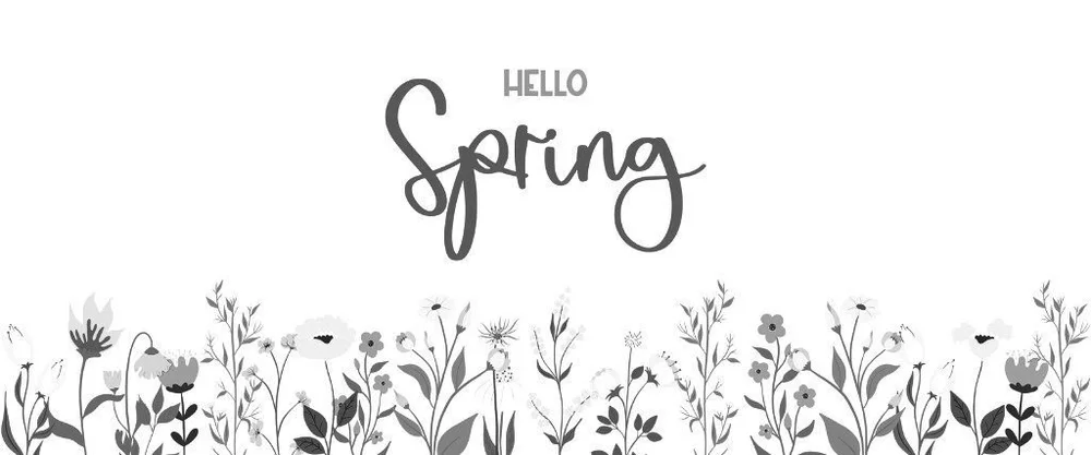 Mid-Week Savings | Mountain Springs Lake Resort