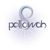 Pellowah or Umana Technique or Reiki? Your guide to spiritual ...