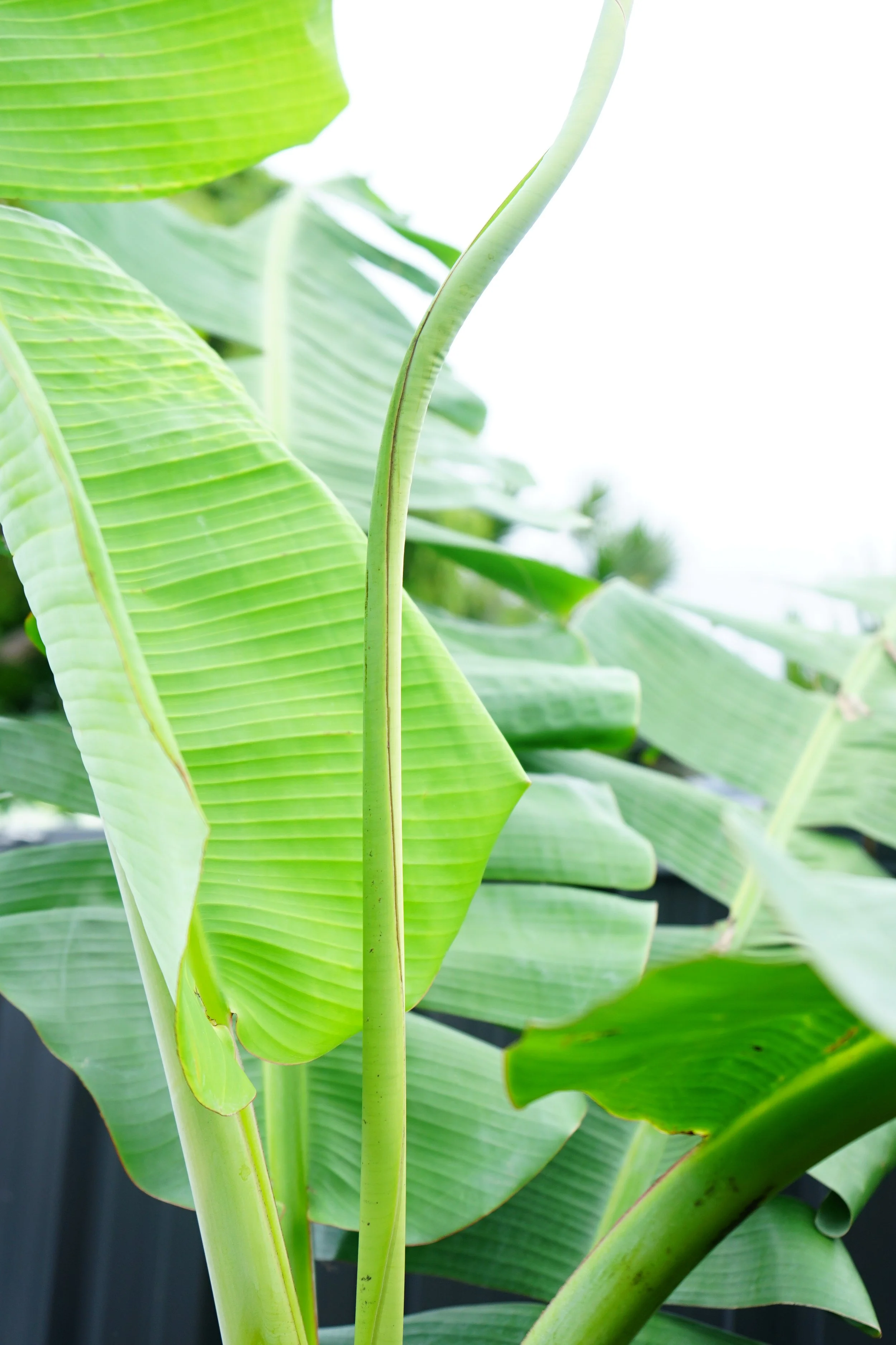 About the Equilibrium Hub — Equilibrium Hub