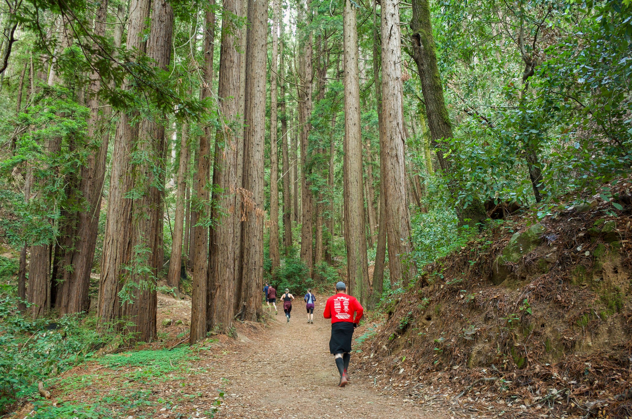 Mt. Madonna Challenge